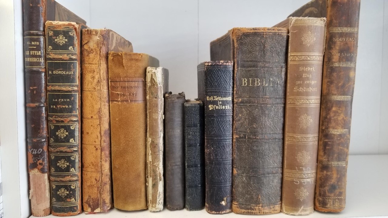 Eborn’s “Decorative Collections” / Antique Foreign Book Set #2 / Fills ...