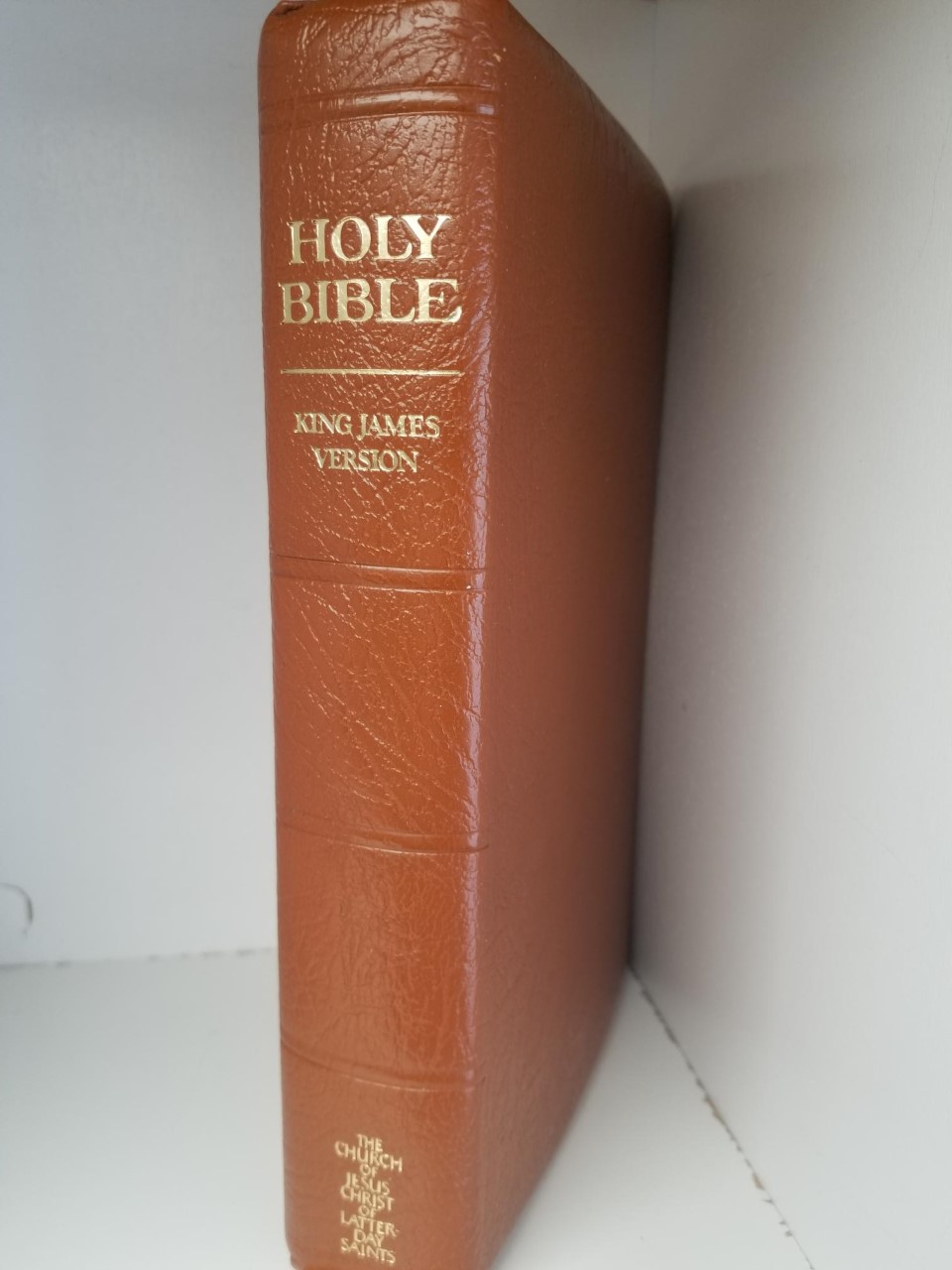 1979 - Holy Bible - Bendable Brown Calfskin Leather Binding - Topical ...