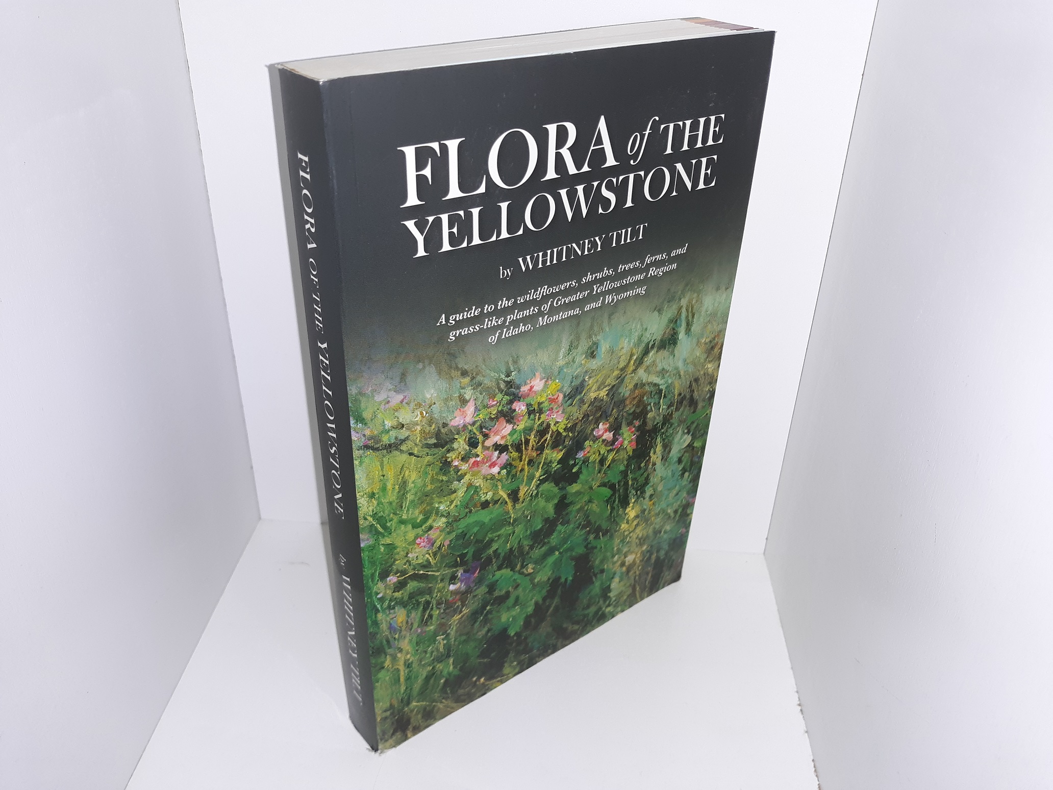 Flora of the Yellowstone: A Guide to the Wildflowers, Shrubs, Trees ...