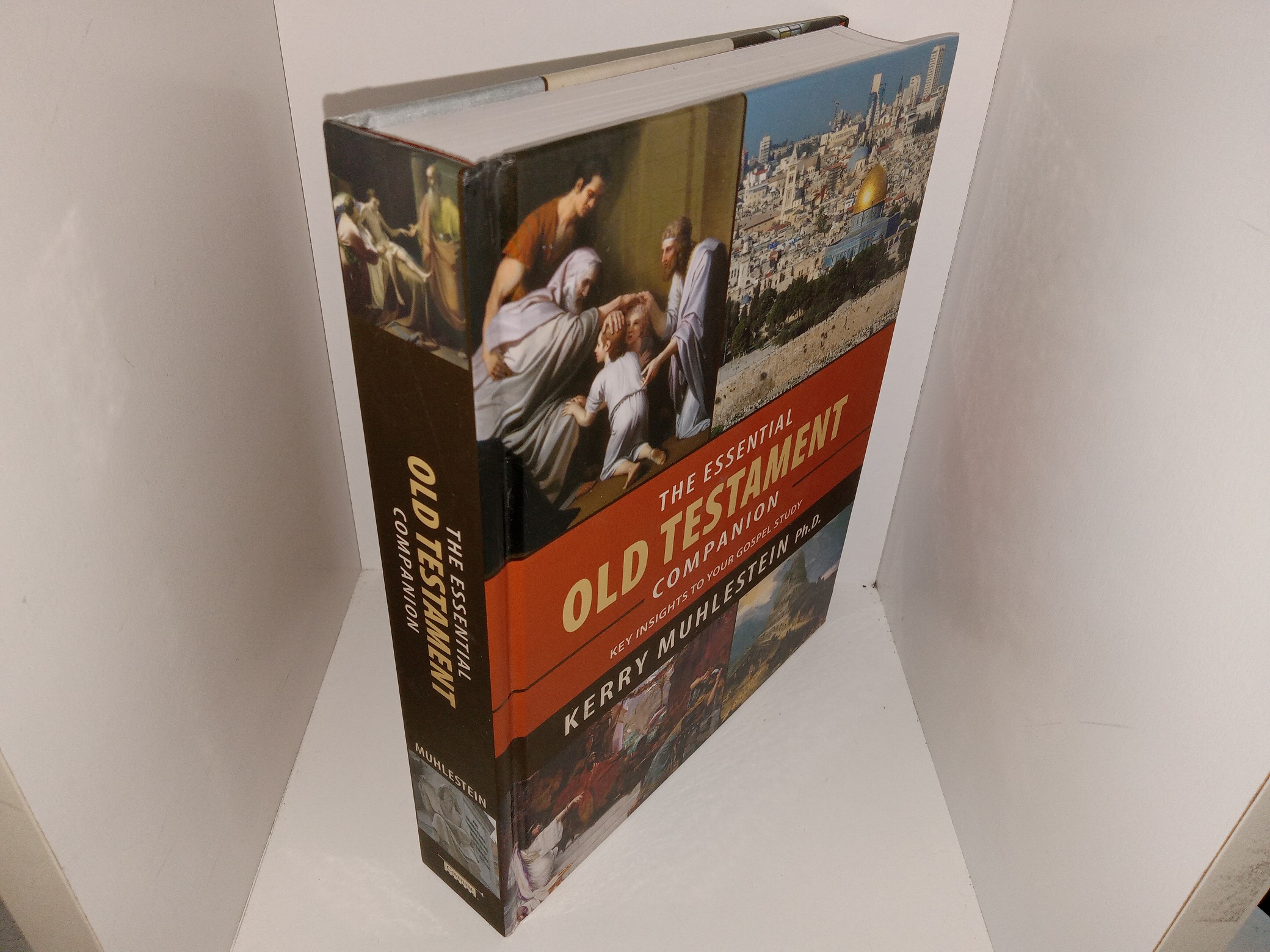 The Essential Old Testament Companion: Key Insights to Your Gospel ...