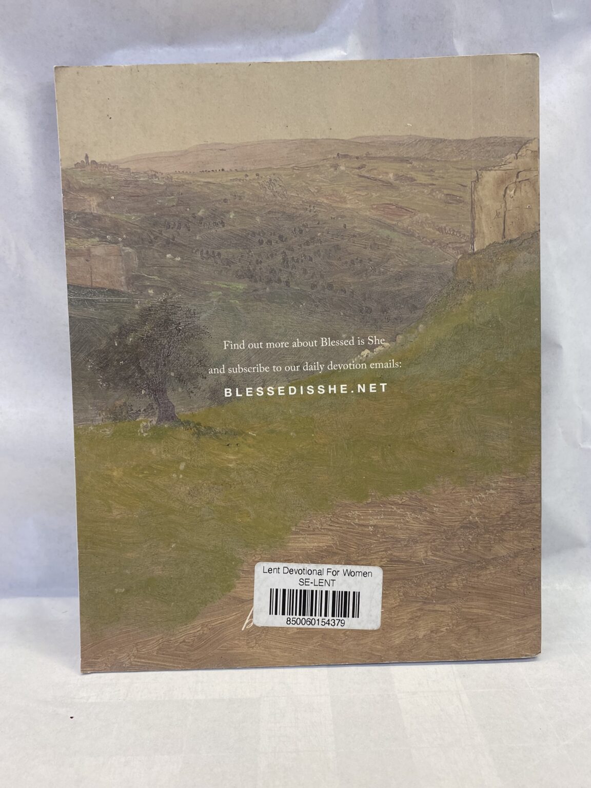Under the Olive Tree – Blessed is She – Paperback – 2025 – Eborn Books