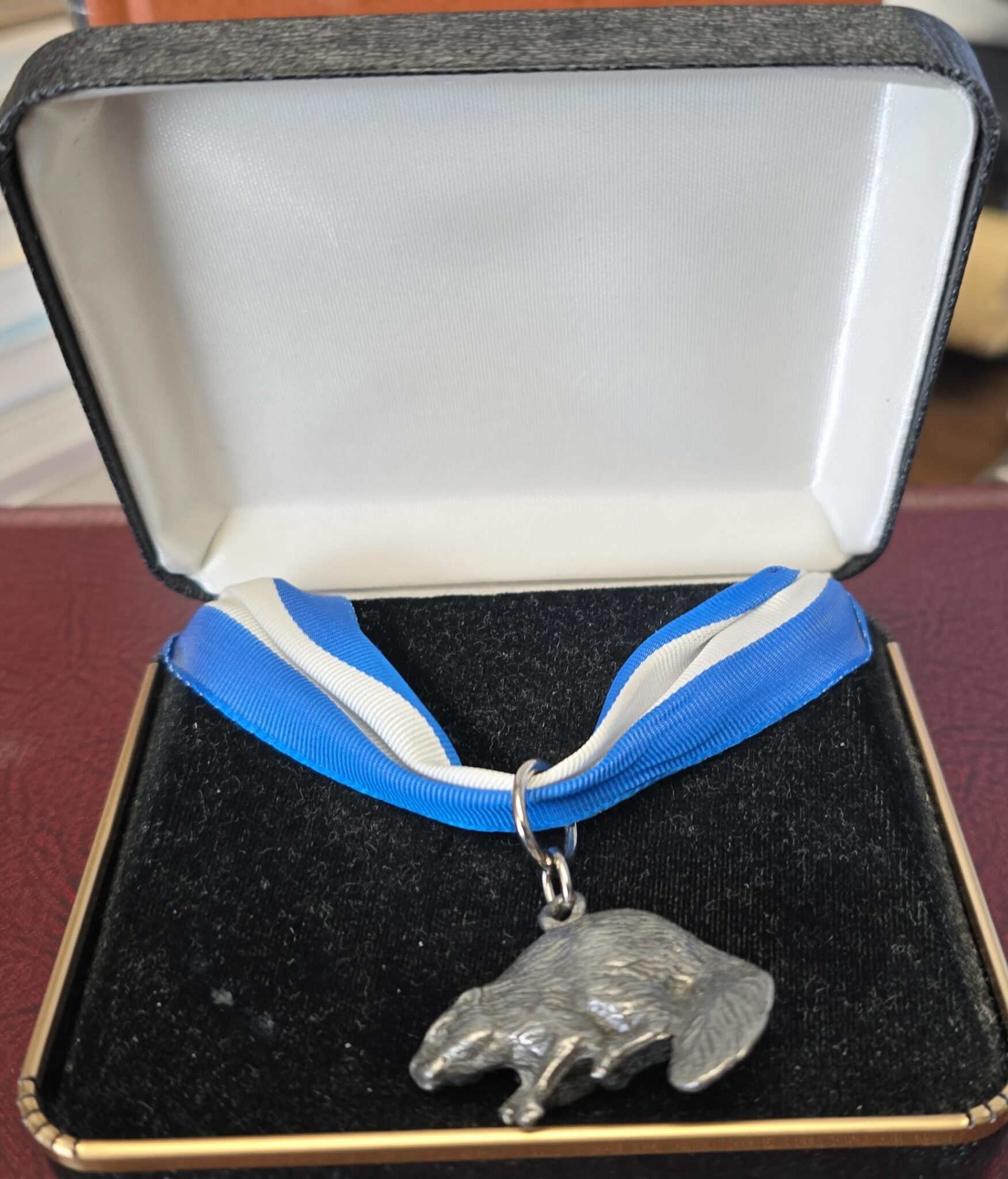Boy Scout Silver Beaver Award Sterling Silver With Ribbon in Case ...