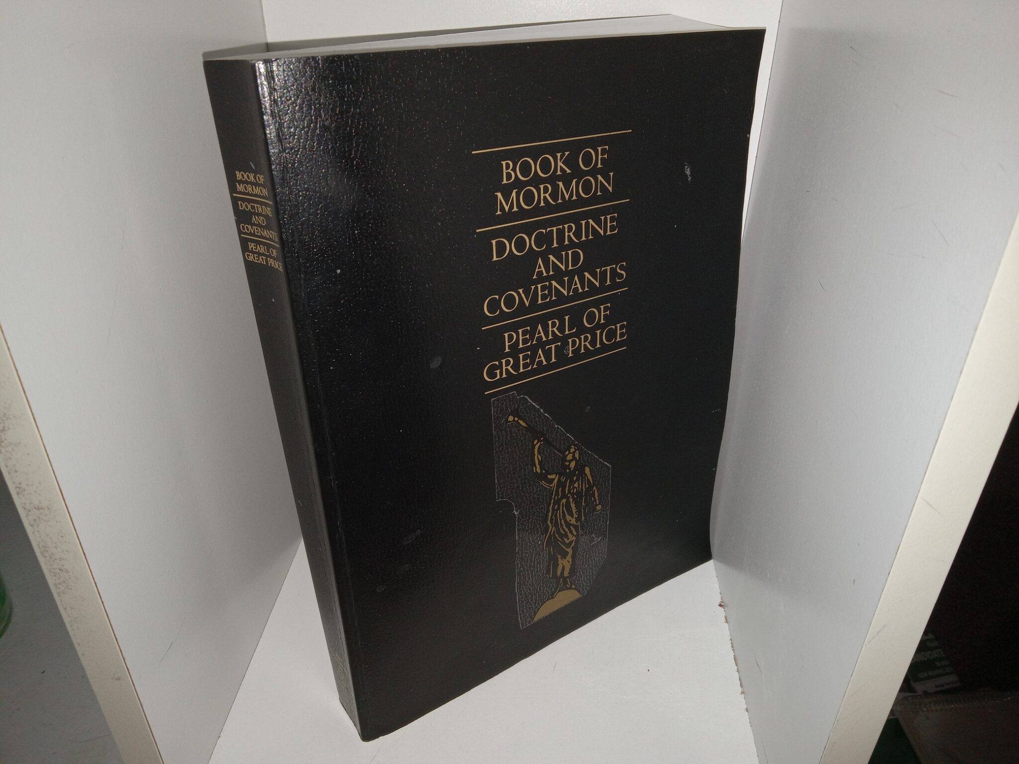 LDS, Large Print, Triple Combination (Book of Mormon/Doctrine and ...